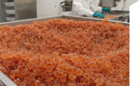 Private Label Gummy Manufacturing - Island Abbey Nutritionals